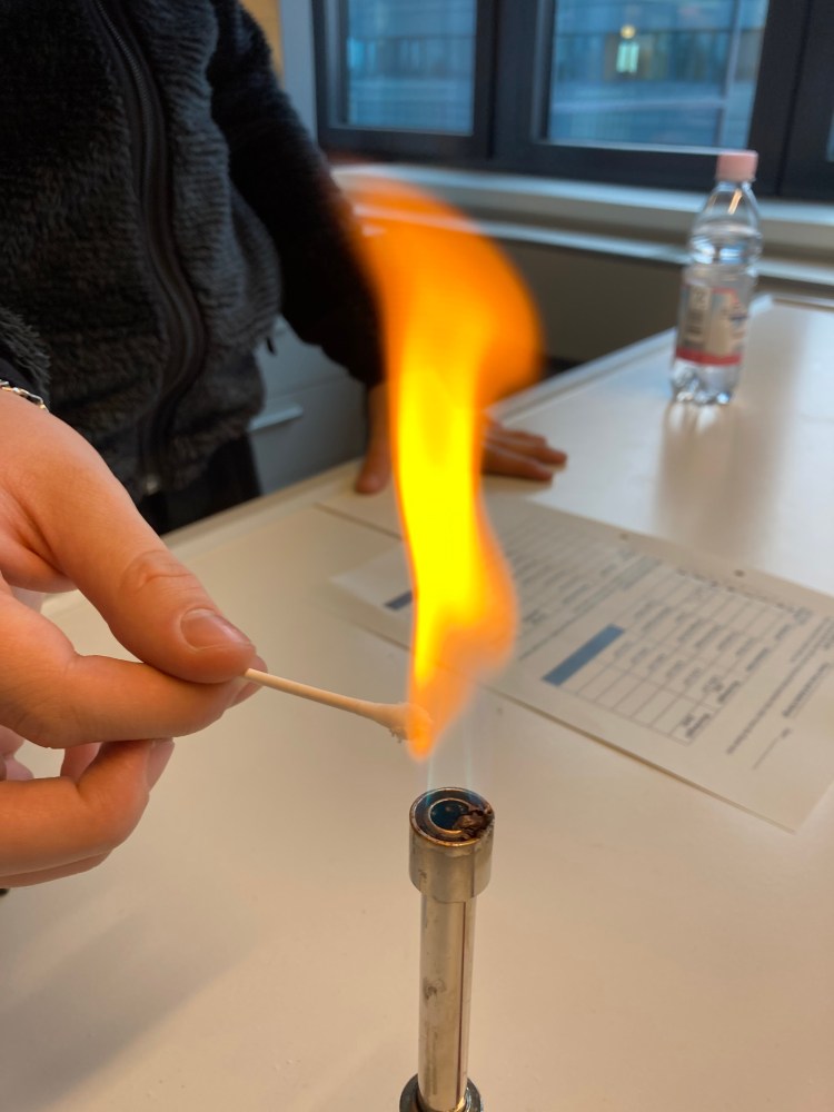 Light Up Your Classroom With The Flame Test Lab – Step by Step Science